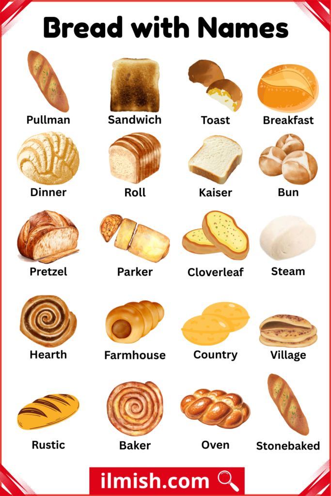 List of Bread with Names and Types in English with Pictures - ilmish