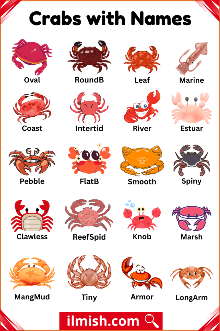 List of Crabs with Names and Types in English with Pictures - ilmish
