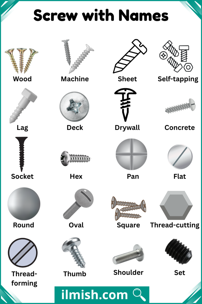 List of Screws with Names and Types in English with Pictures - ilmish