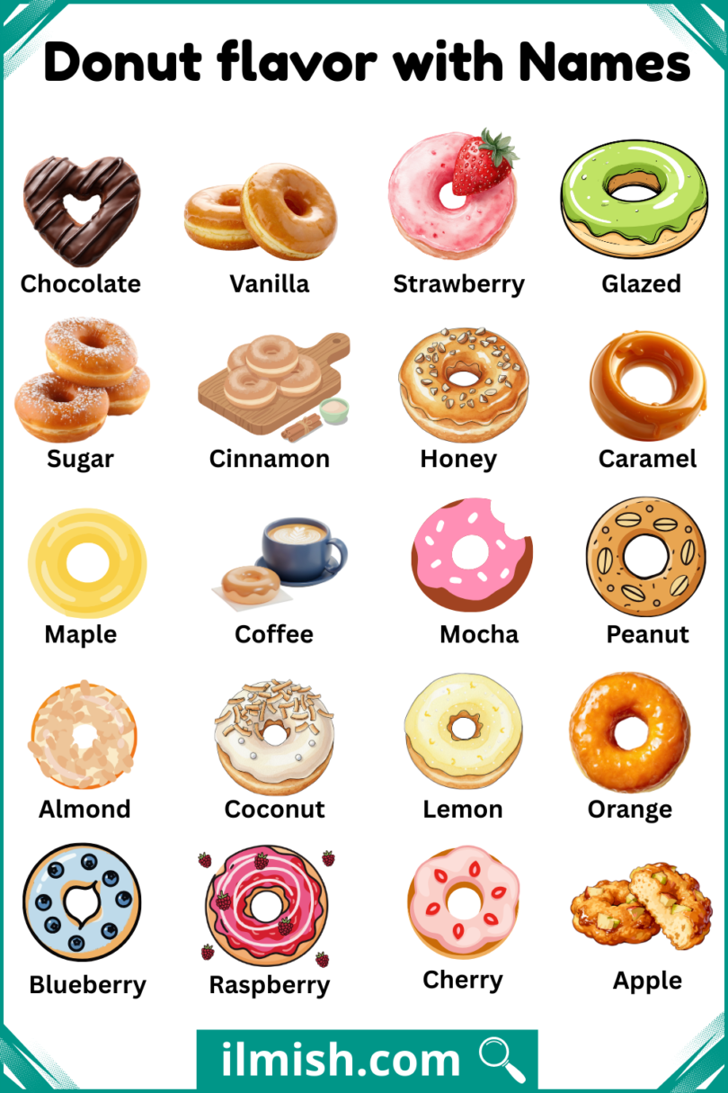 Donut Flavors name in English with their Pictures - ilmish