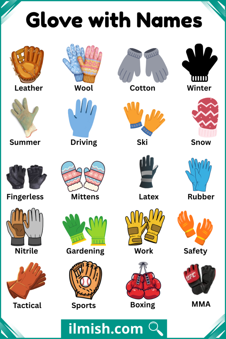 List of gloves with Names and Types in English with Pictures - ilmish