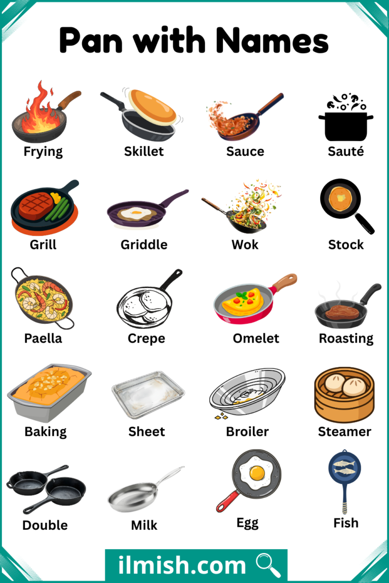 List of Pans with Names and Types in English with Pictures - ilmish