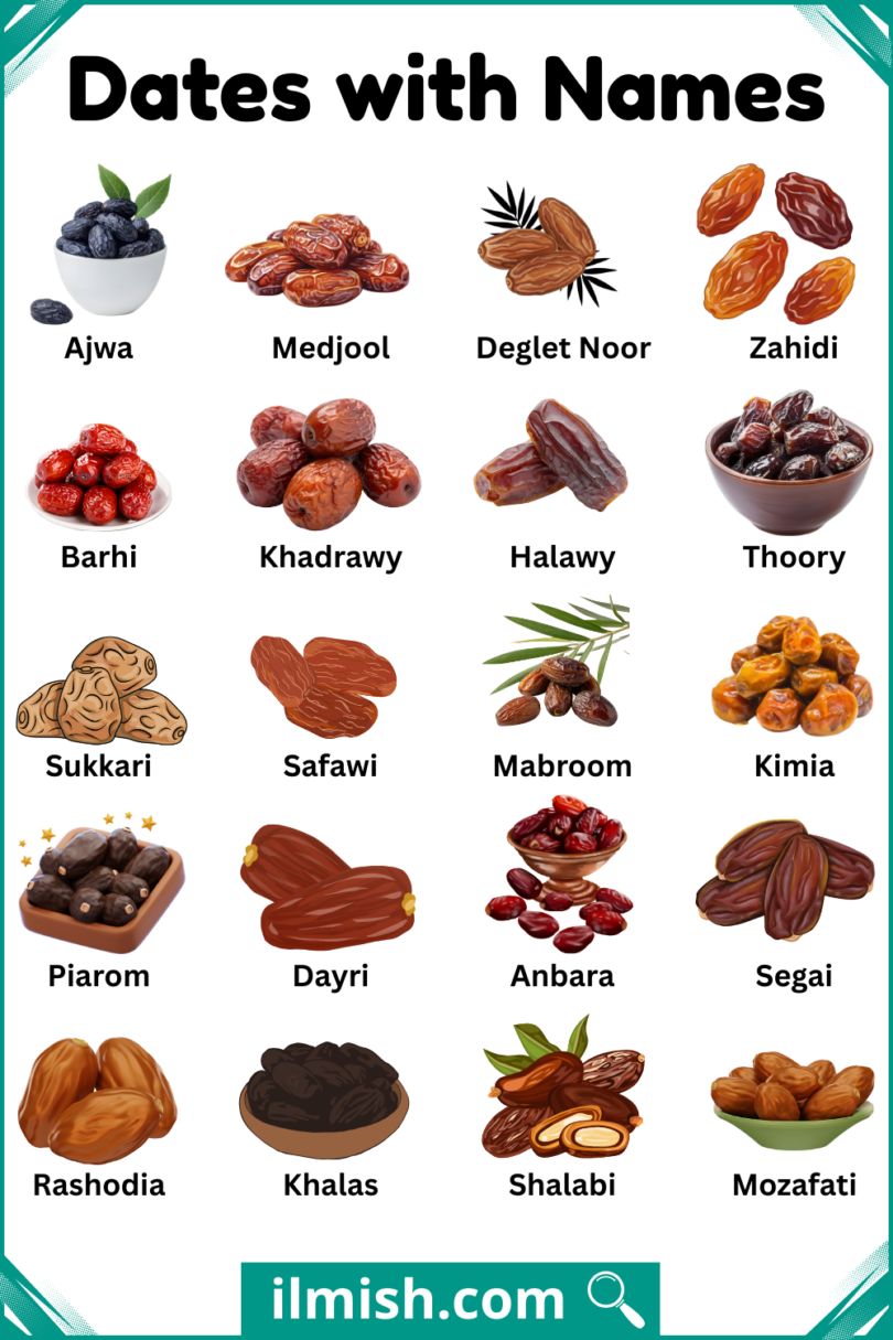 List of dates with Names and Types in English with Pictures - ilmish