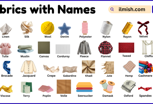 40 Types of Fans names in English with Pictures - ilmish