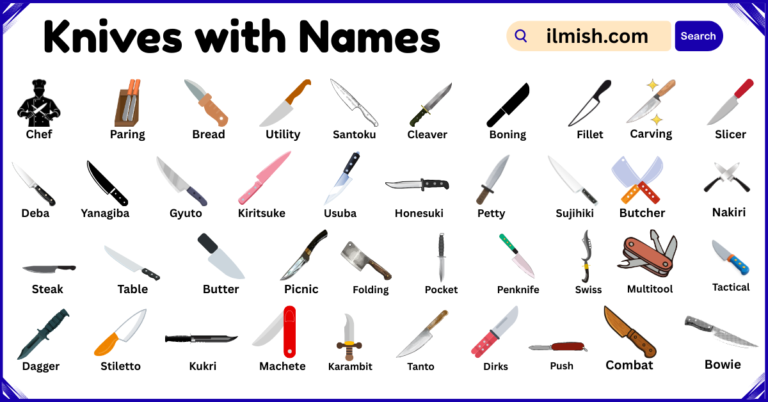 List of Knives with Names and Types in English with Pictures - ilmish
