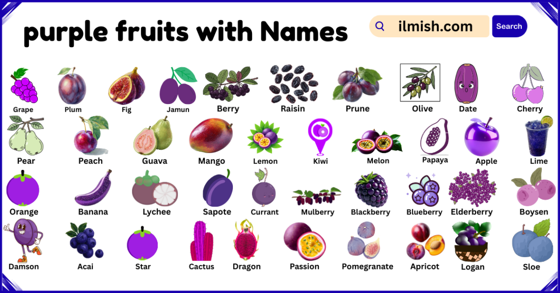 List of Purple Fruits with Names and Types in English with Pictures ...