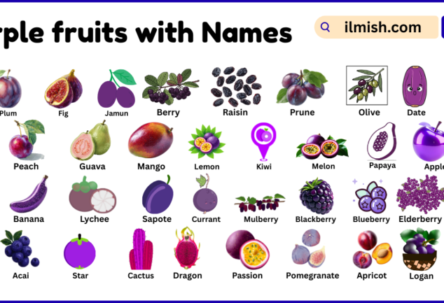 Types of Root Vegetables Names in English and Their pictures - ilmish