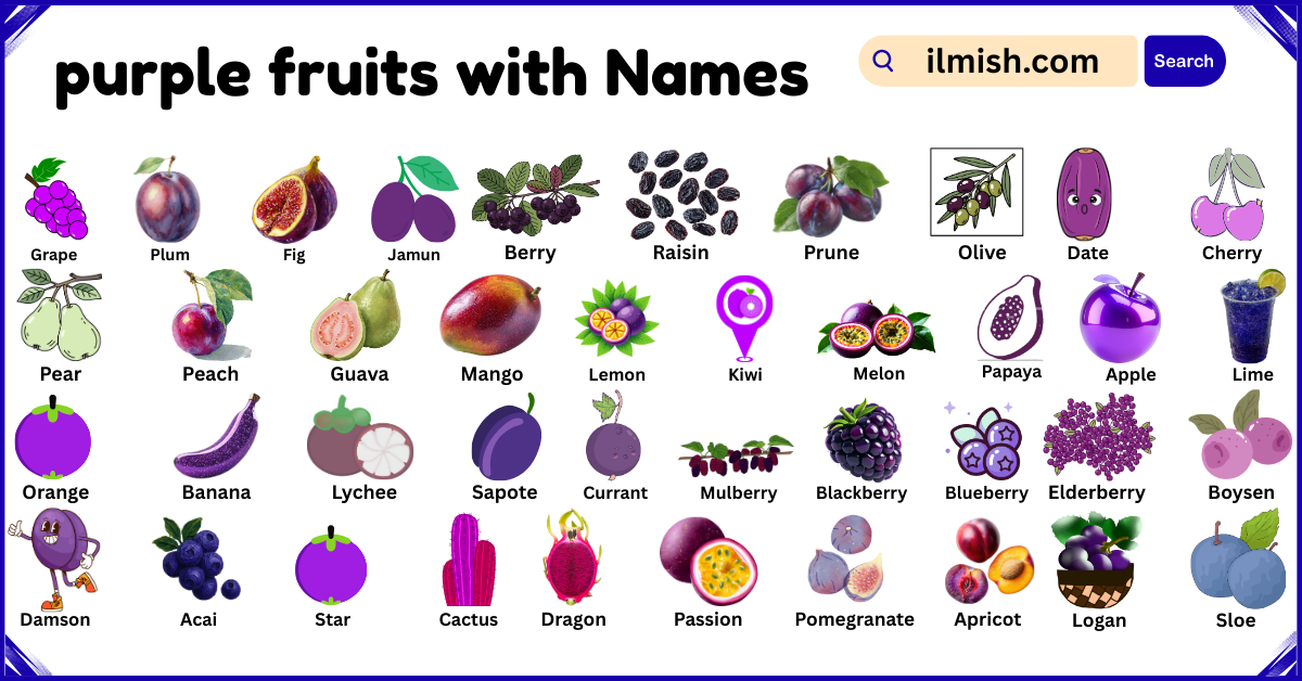List of Purple Fruits with Names and Types in English with Pictures ...