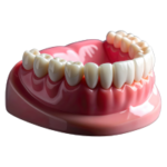 List of teeth with Names and Types in English with Pictures - ilmish