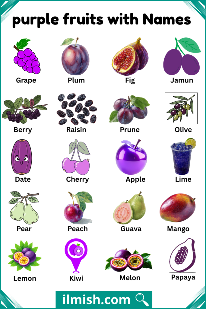List of Purple Fruits with Names and Types in English with Pictures ...