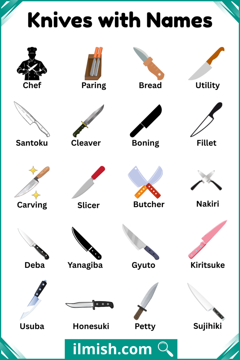 List of Knives with Names and Types in English with Pictures - ilmish