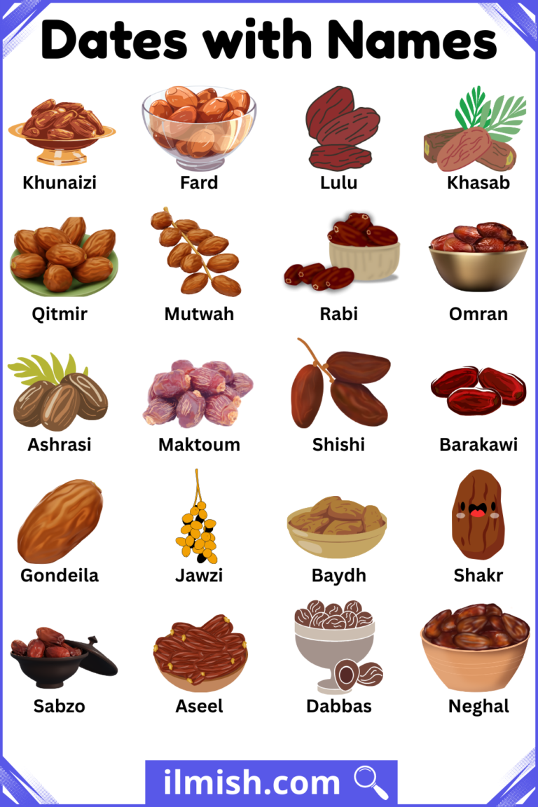 List of dates with Names and Types in English with Pictures - ilmish