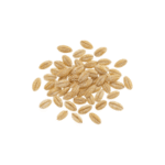 List of Grains with Names and Types in English with Pictures - ilmish