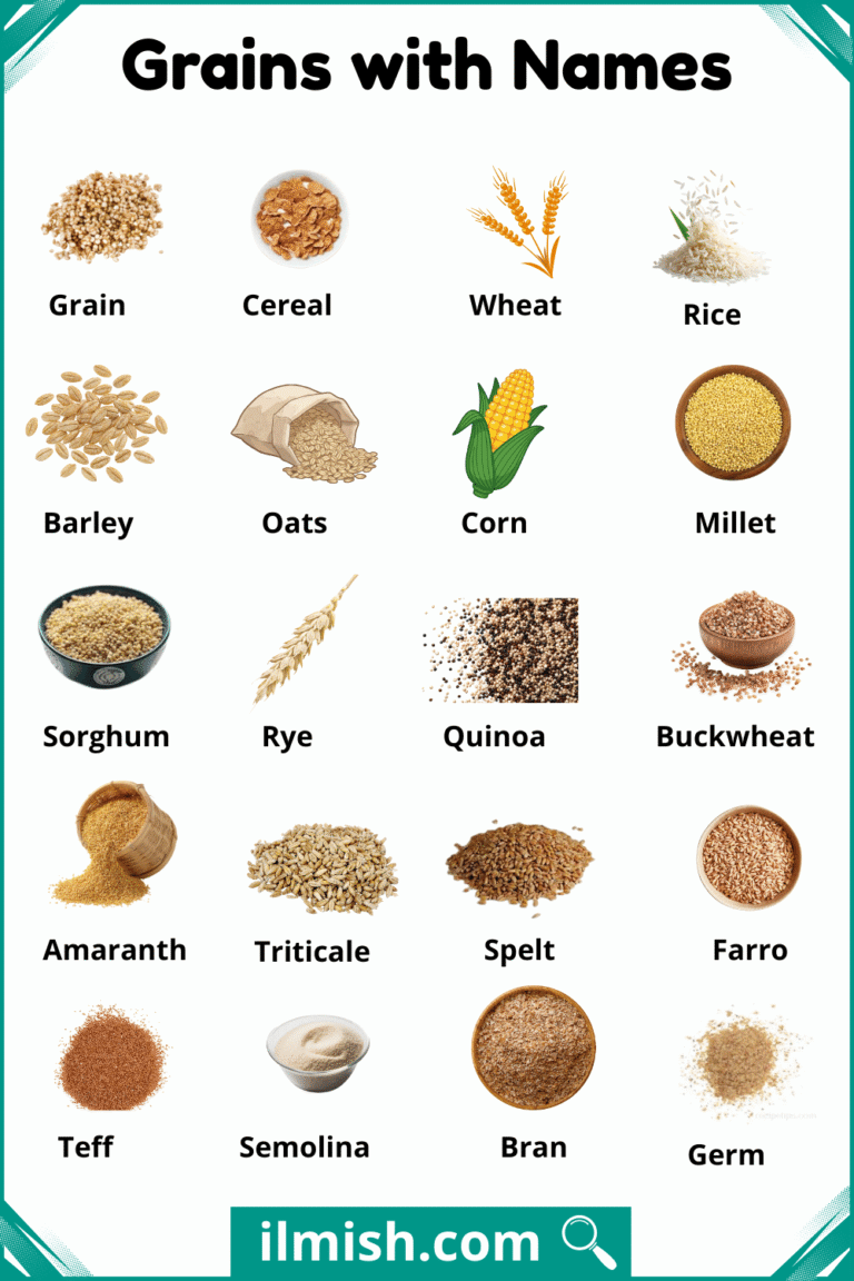 List of Grains with Names and Types in English with Pictures - ilmish