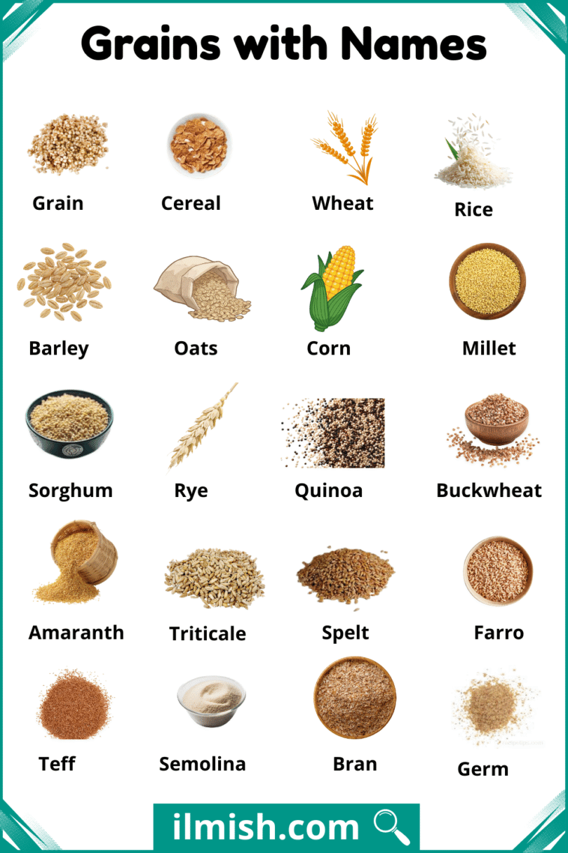 List of Grains with Names and Types in English with Pictures - ilmish