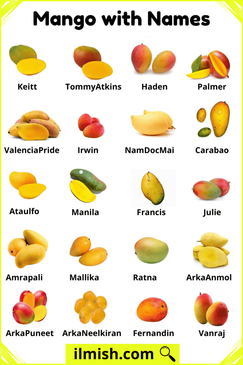 List of Mango with Names and Types in English with Pictures - ilmish