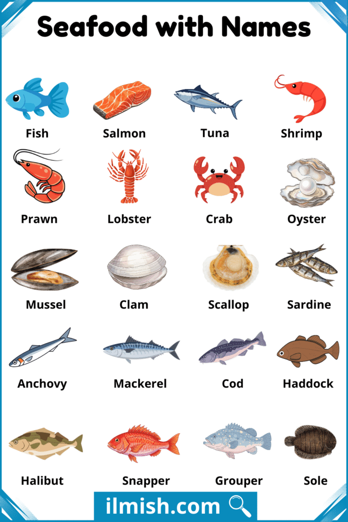 List of Seafood with Names and Types in English with Pictures - ilmish