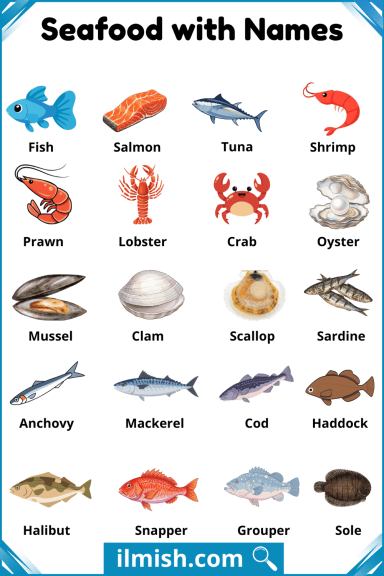 List of Seafood with Names and Types in English with Pictures - ilmish