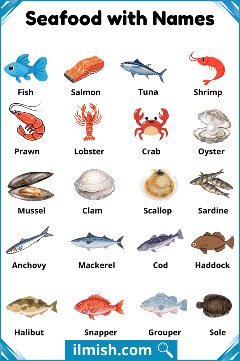 List of Seafood with Names and Types in English with Pictures - ilmish