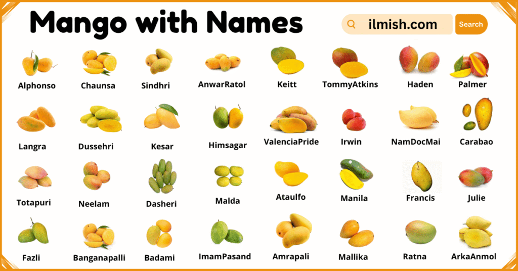 List of Mango with Names and Types in English with Pictures - ilmish