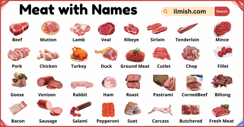 List of Seafood with Names and Types in English with Pictures - ilmish