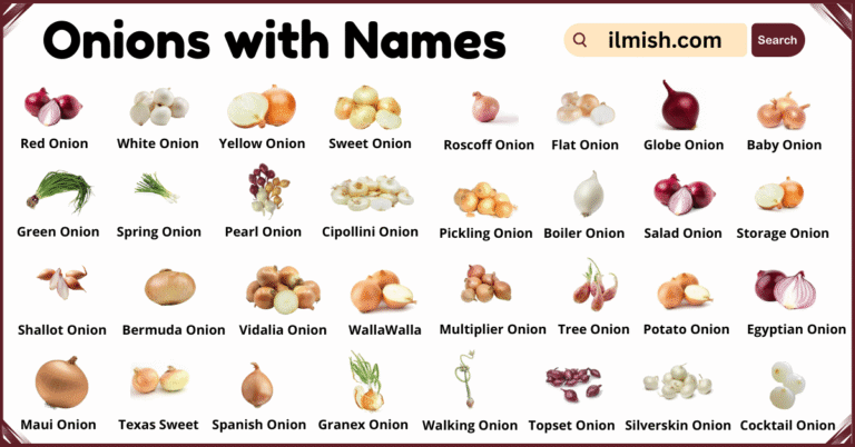 List of Onions with Names and Types in English with Pictures - ilmish