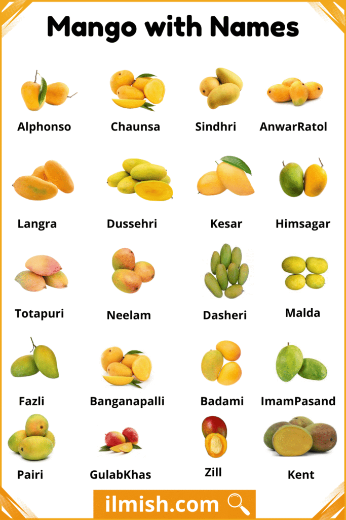 List of Mango with Names and Types in English with Pictures - ilmish