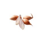 List of Onions with Names and Types in English with Pictures - ilmish